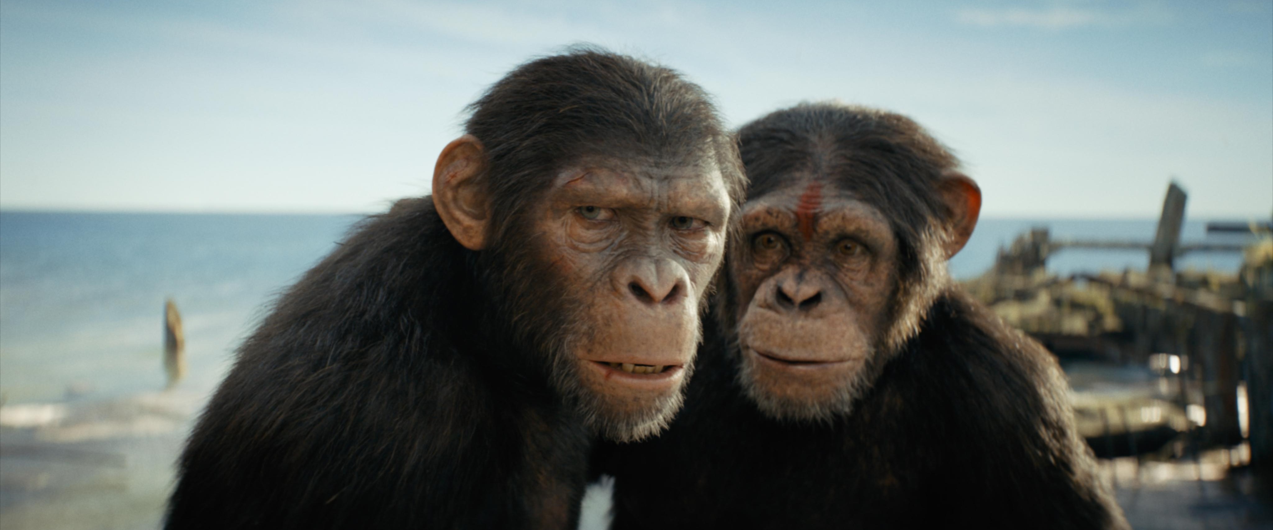 Cine, teatro, espectáculos